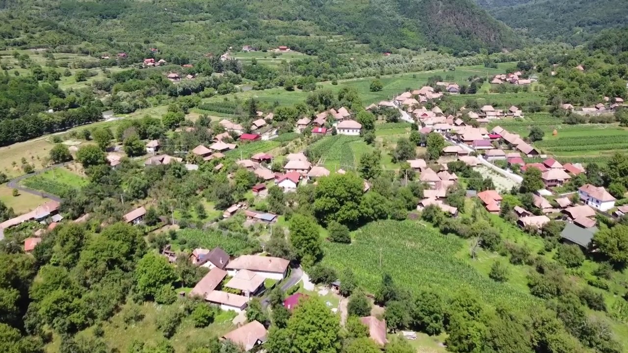 DJI Mavic Mini Lunca Ariesului - YouTube