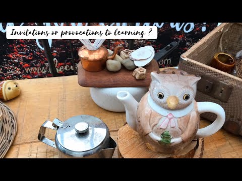 What Is A Provocation In Early Childhood Education