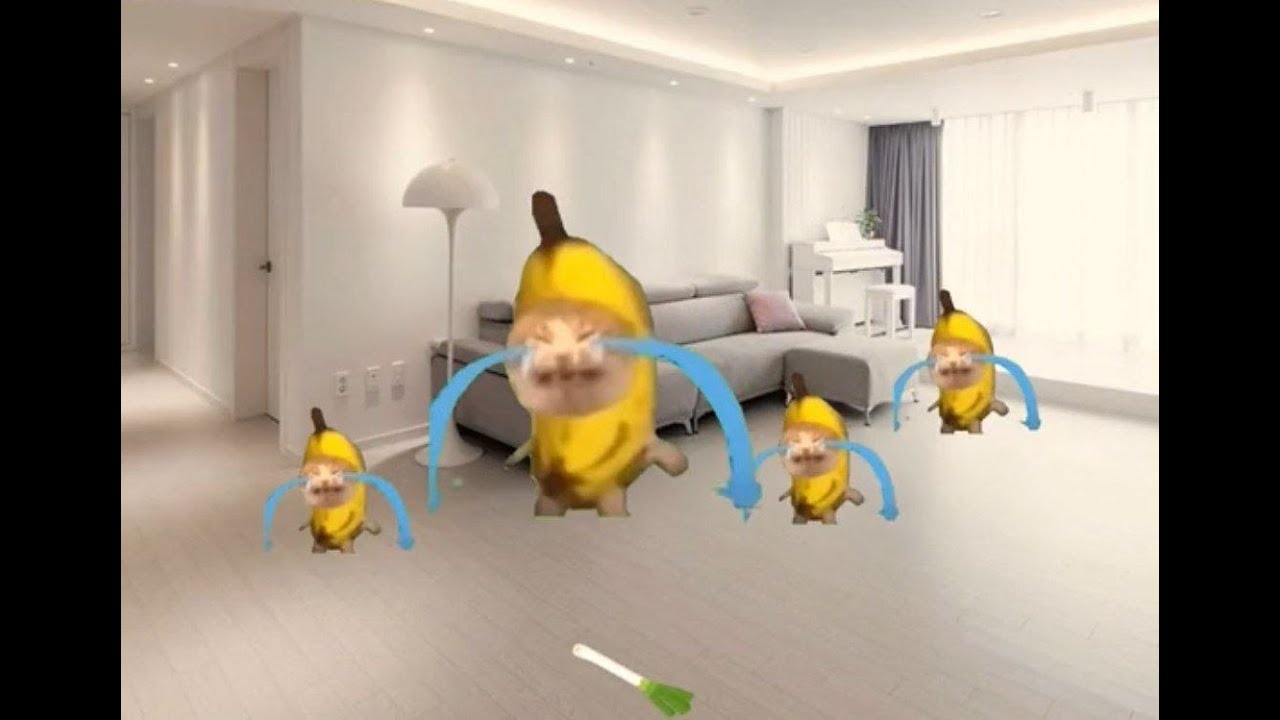 Why are they crying?? The funniest memes with animals. 6 videos with ...