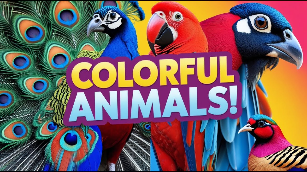 Learn Animal Colors for Kids 🌈 | Colorful Animals & Vocabulary - YouTube
