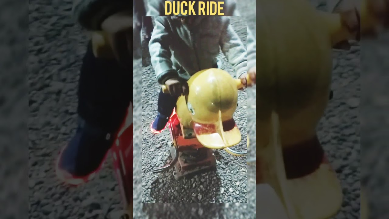 Duck riding, by little kids in garden. - YouTube