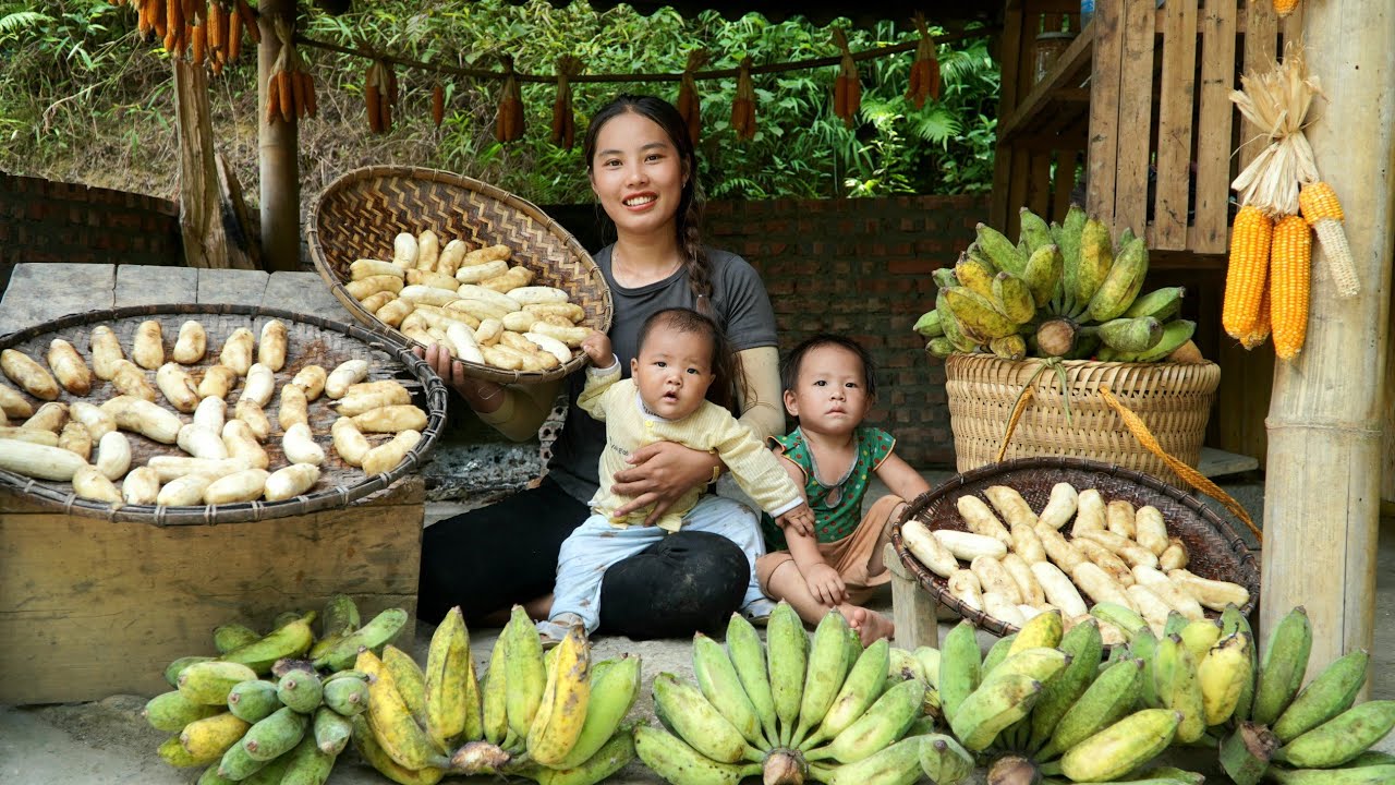 Harvest ripe bananas and bring them to the market to sell - make dried ...