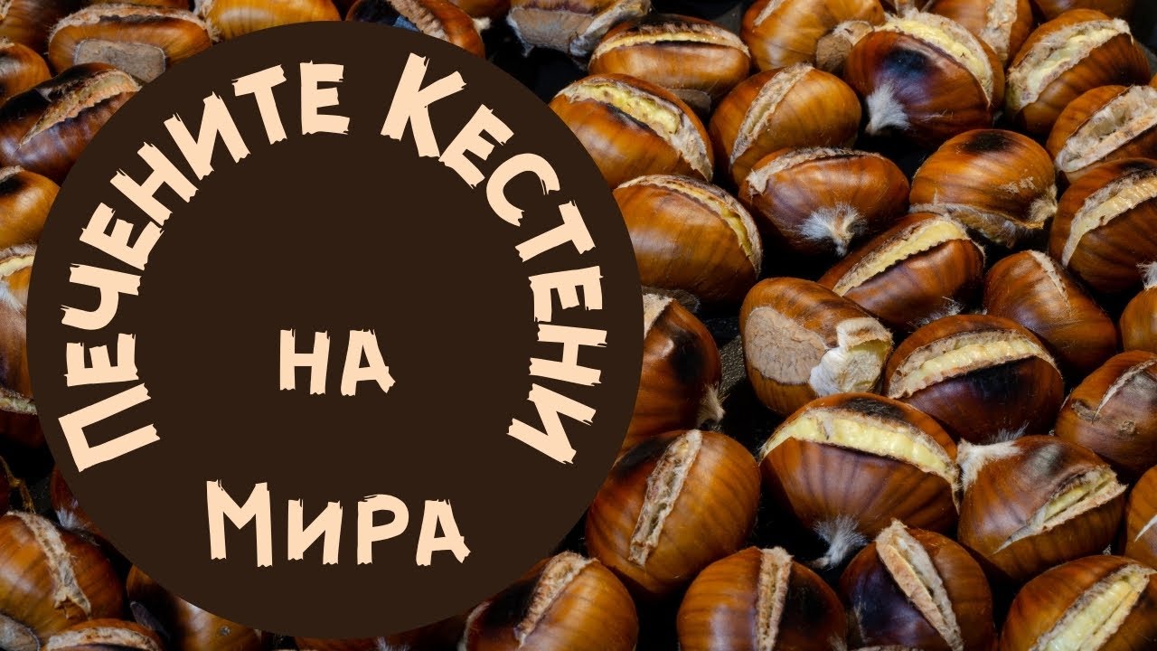 Печени кестени на фурна у дома | Мира показва как прави печени кестени ...