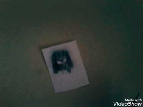 LİSA ÇİZİM / YAPABİLDİM Mİ?/