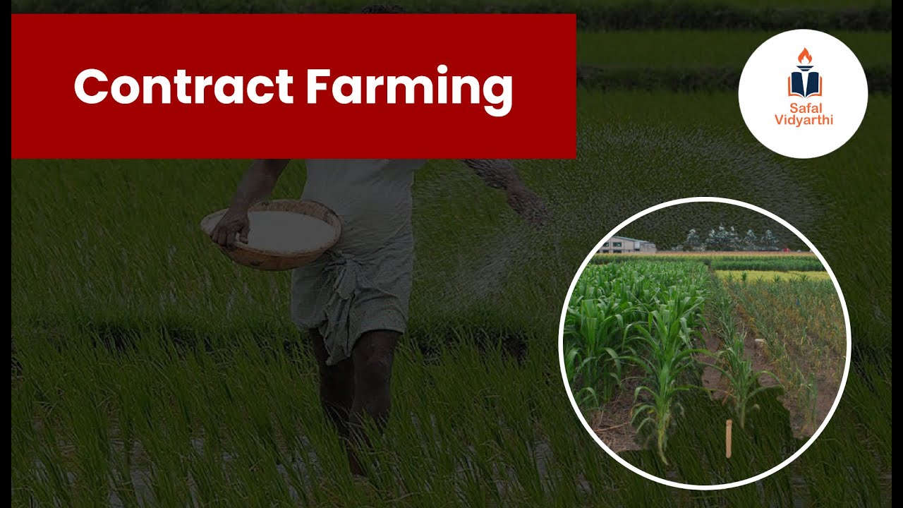 What is Contract Farming? | Contract Farming in India | Farmers - YouTube