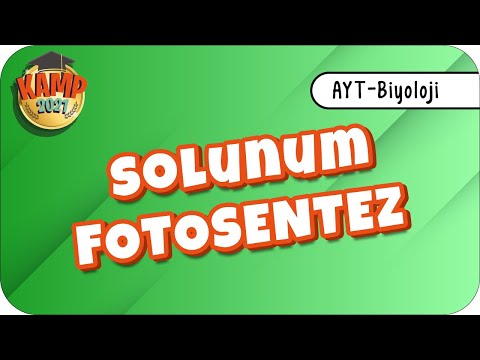 Fotosentez - Solunum | AYT Biyoloji #biyolojik