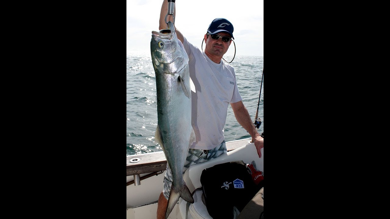 Pescarias em Ilhabela - YouTube