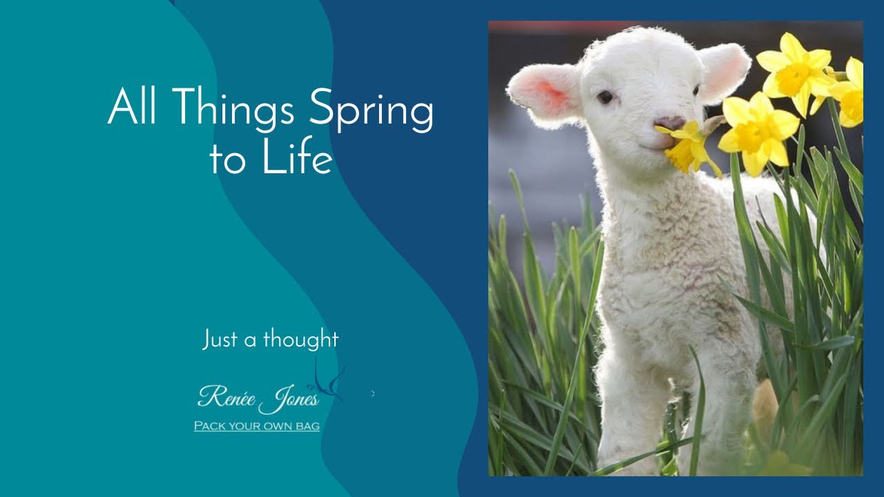 All Things Spring to Life - YouTube