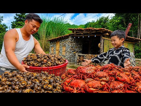 Engineer Trieu Khanh's Forest Journey Led to an Incredible Discovery of Crabs and Snails to Sell.!