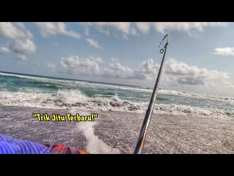 "Kenapa Ikan Pompano Lebih Sering Makan Dekat? Penjelasan & Tekniknya ...