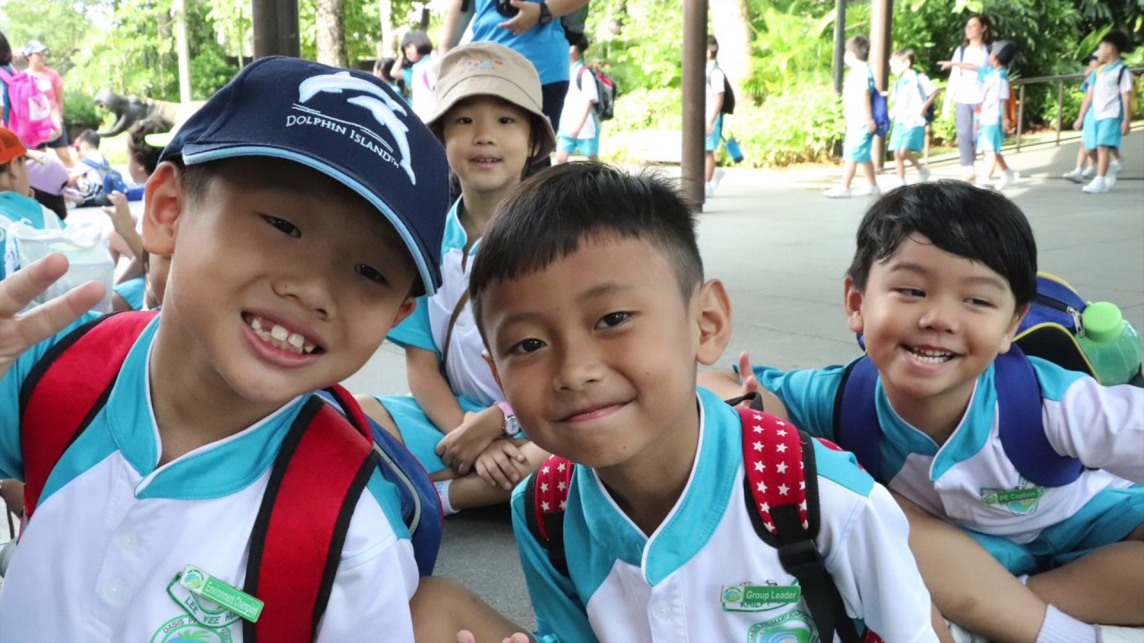 Oasis Primary Sem 1 & Sem 2 Activies - YouTube