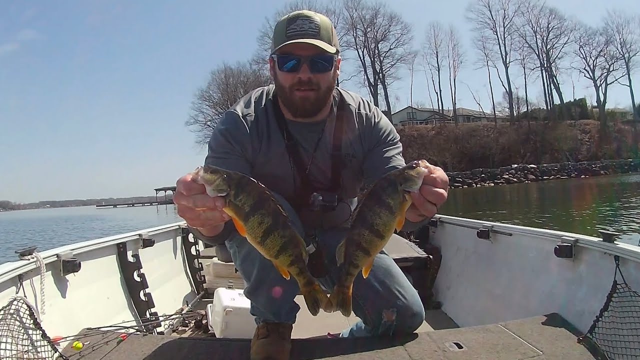 Spring Perch Fishing 2024 During The Spawn - YouTube