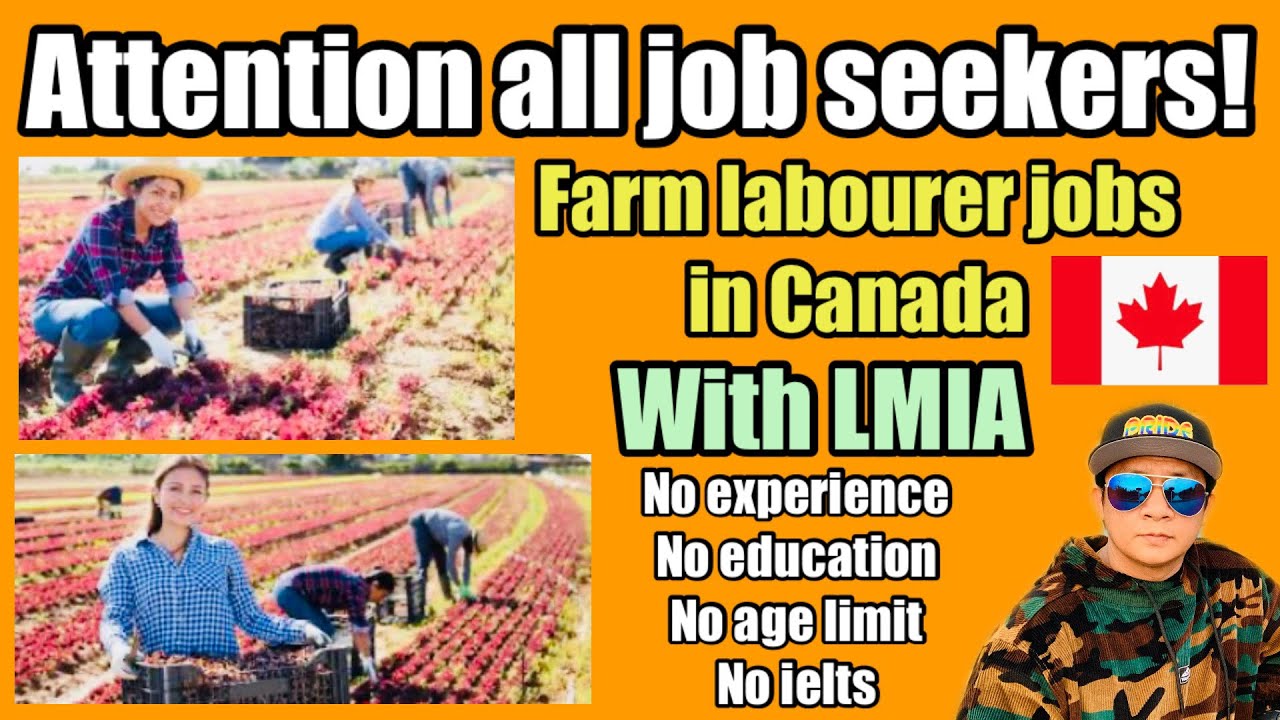 Work in Canada 🇨🇦 as a “Farm Labourer” Apply now! With approved LMIA ...