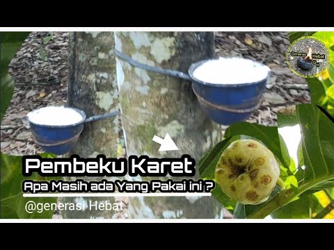 Cara agar getah beku sederhana dengan buah mengkudu? @usaha.abad21 ...