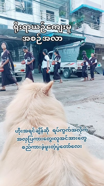 ရိုးရာယဥ်ကျေးမူအစဉ်အလာ ညောင်နေသွန်းပွဲ Youtube