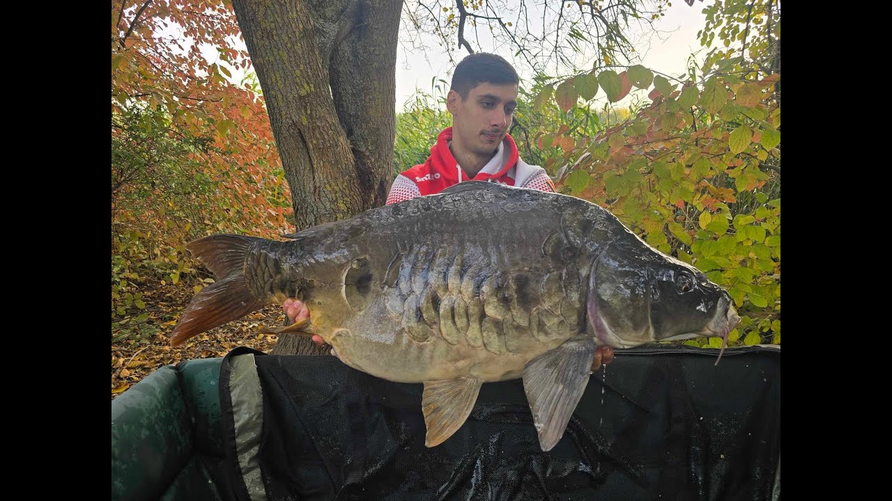 Pescuit Plantat pe Lacul Tancabesti - Stand Planet - YouTube