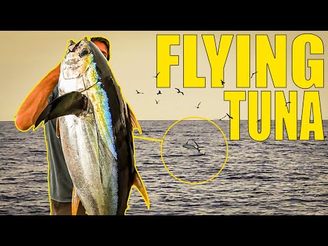 Fishing Tournament Day and This Happened - Flying Tuna - YouTube