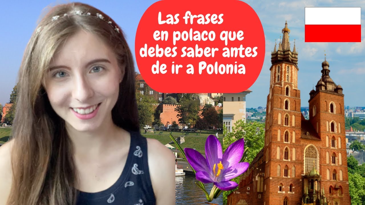 Las frases en polaco que debes saber para sobrevivir en Polonia 🇵🇱🤍 ️ ...