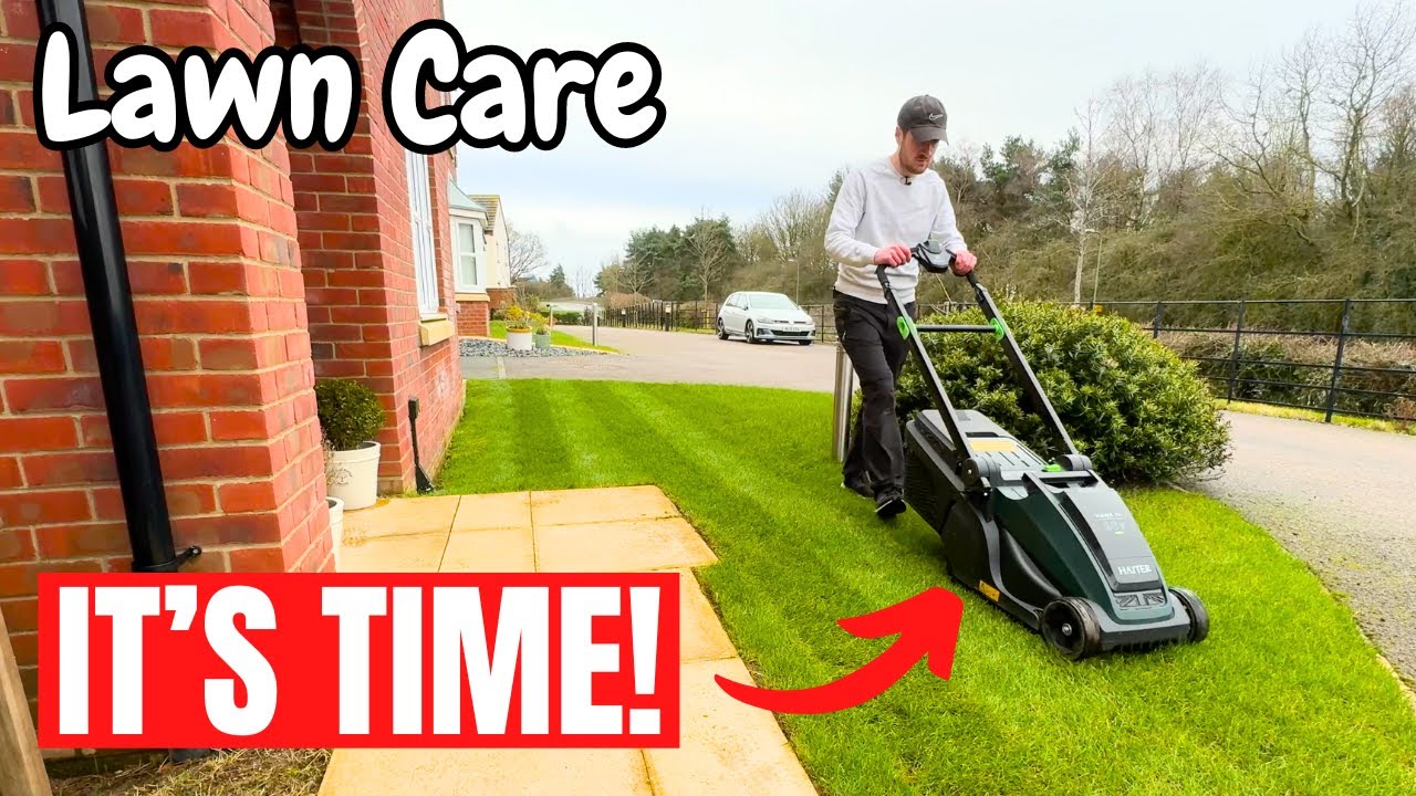If you want a great lawn, START NOW! - Lawn Care - YouTube