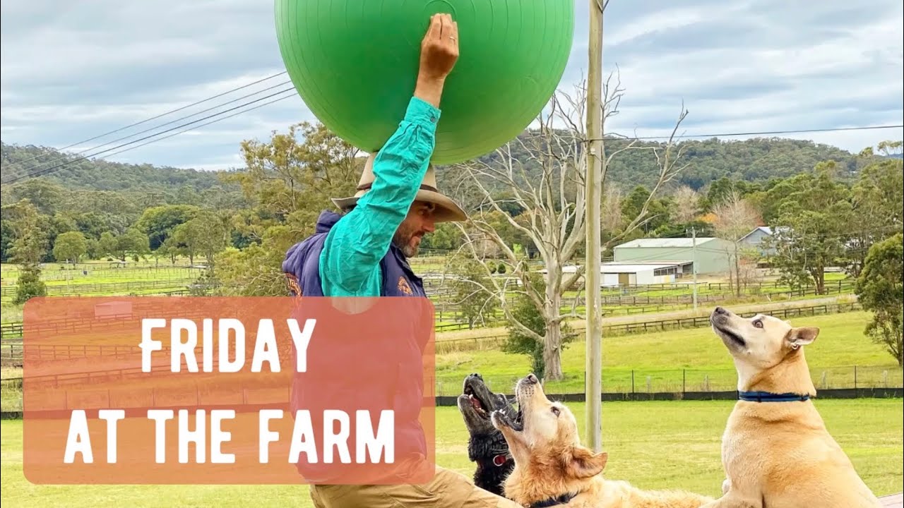 Friday at the Farm - YouTube