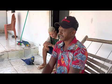 TÕE CONTA COMO COMEÇOU TRABALHAR COM CHARLLES | CHÁCARA COMÉDIA SELVAGEM