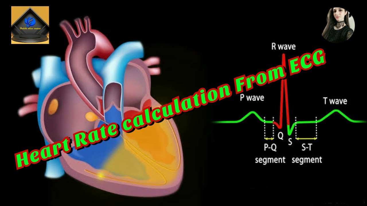 How to calculate Heart rate from ECG(Electrocardiogram) - YouTube