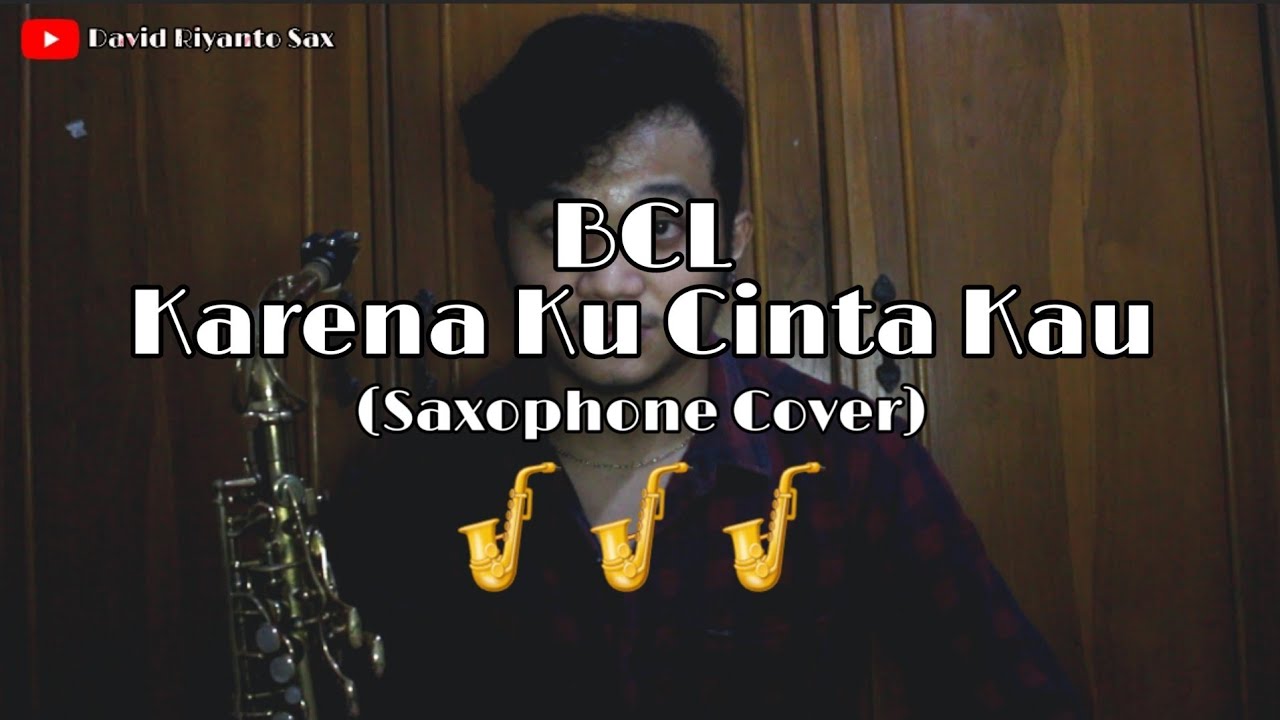 BCL - Karena Ku Cinta Kau ( Saxophone Cover By David Riyanto ) - YouTube