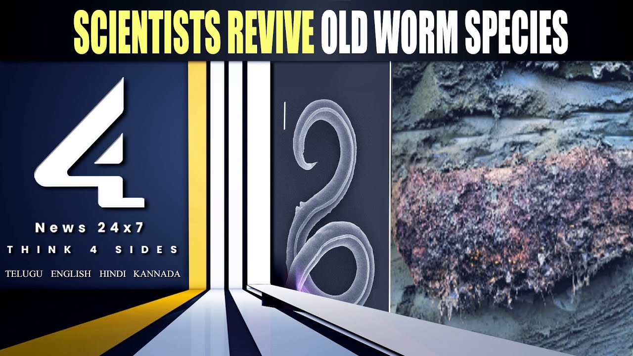 Scientists revive old worm species | 4sidestv English - YouTube
