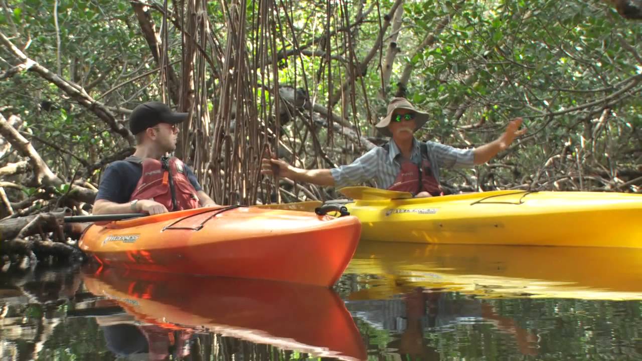 Fishing and Kayaking in The Florida Keys - YouTube