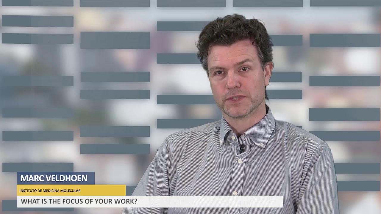 Marc Veldhoen @ CEDOC Seminars - YouTube