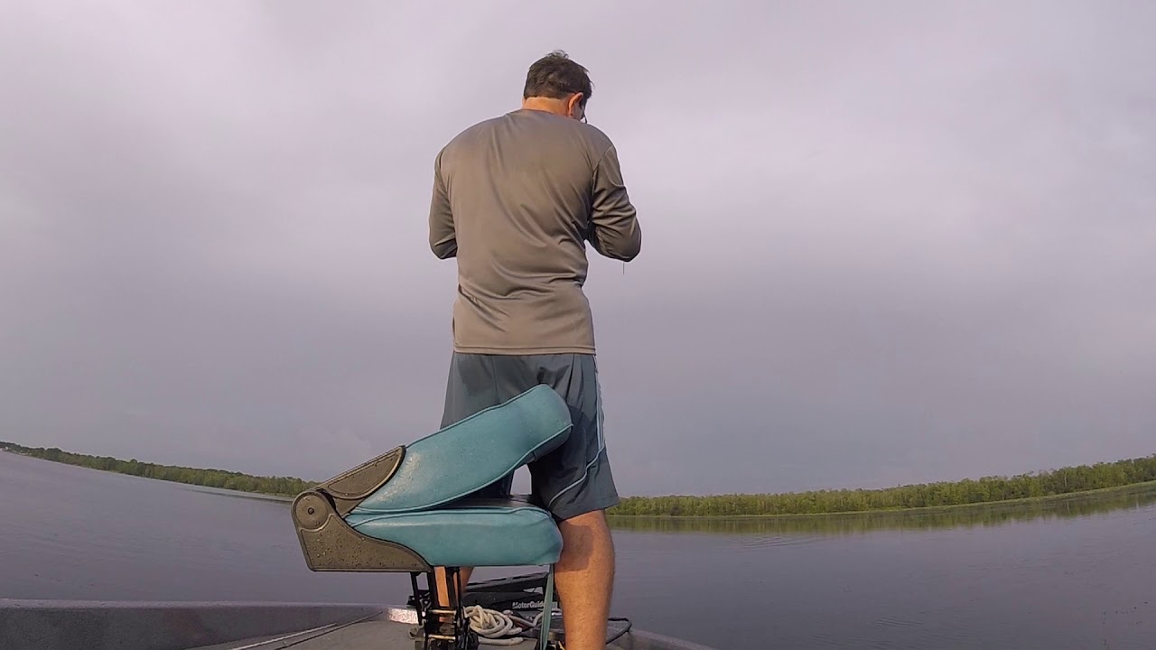 Top water on Little Lake Harris FL - YouTube