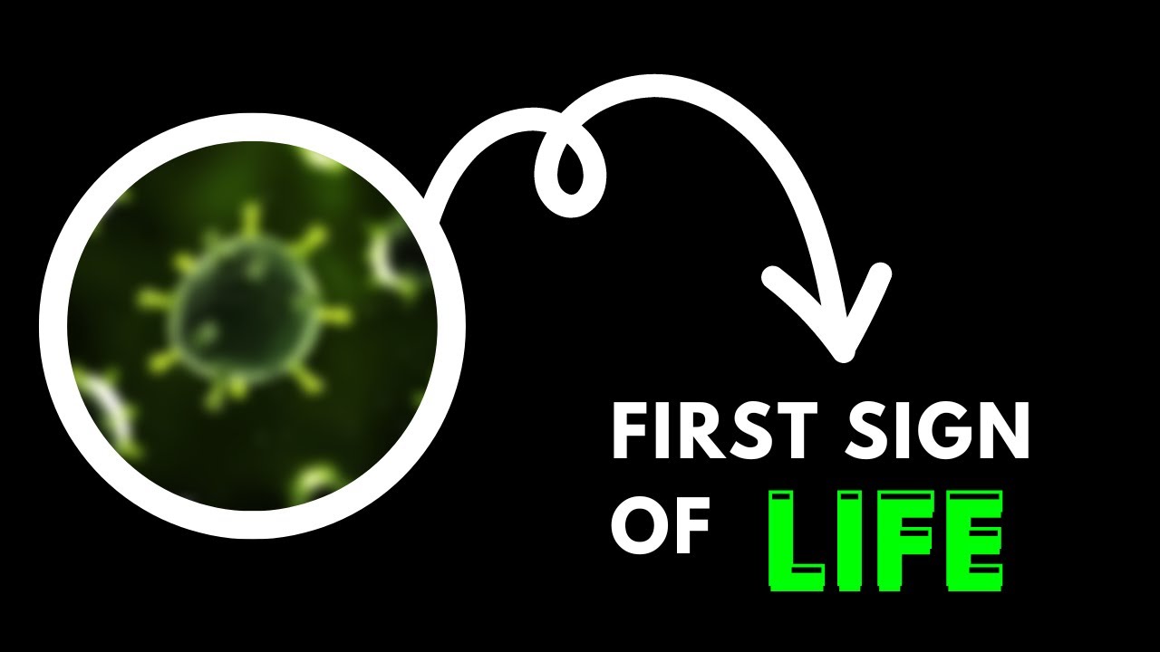 Which Was The First Sign Of Life On Earth - YouTube