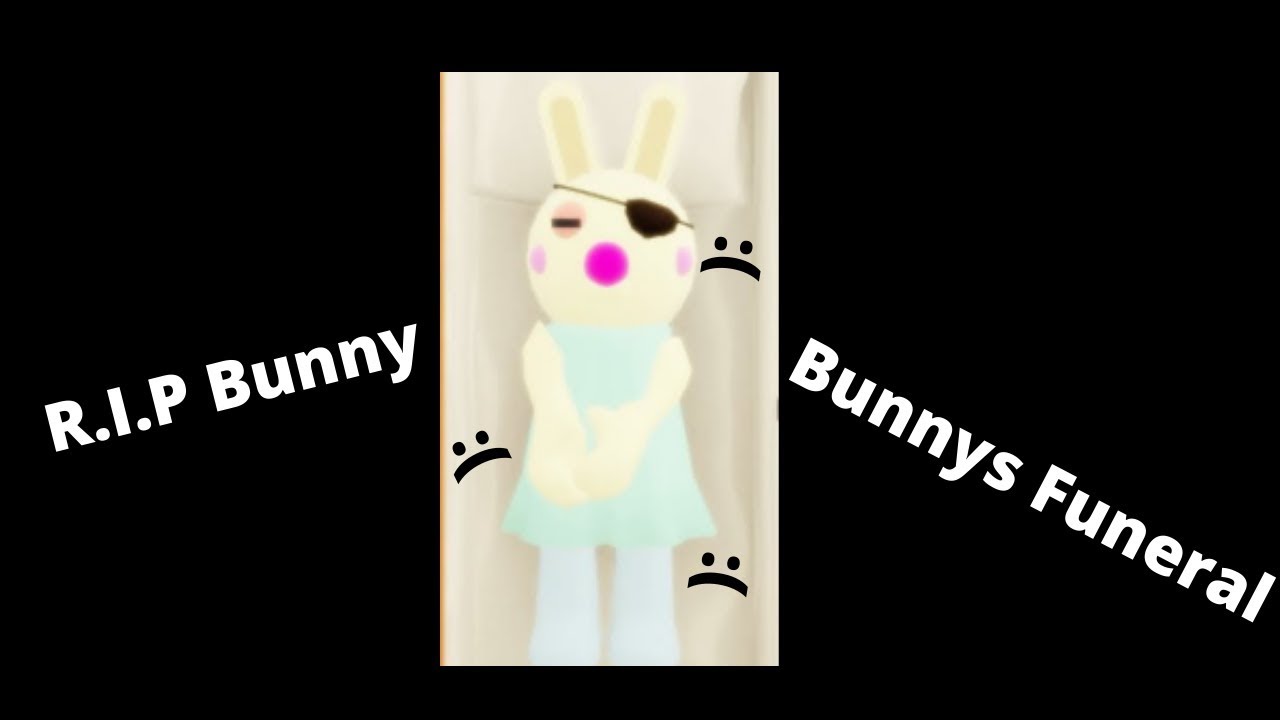 Bunnys Funeral?? (Bunny is DEAD?????) - YouTube