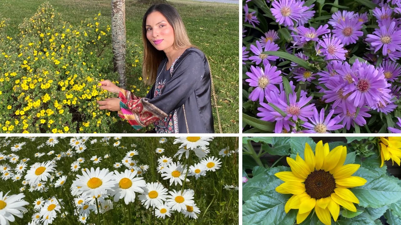 Beautiful Summer Flowers In Denmark - YouTube