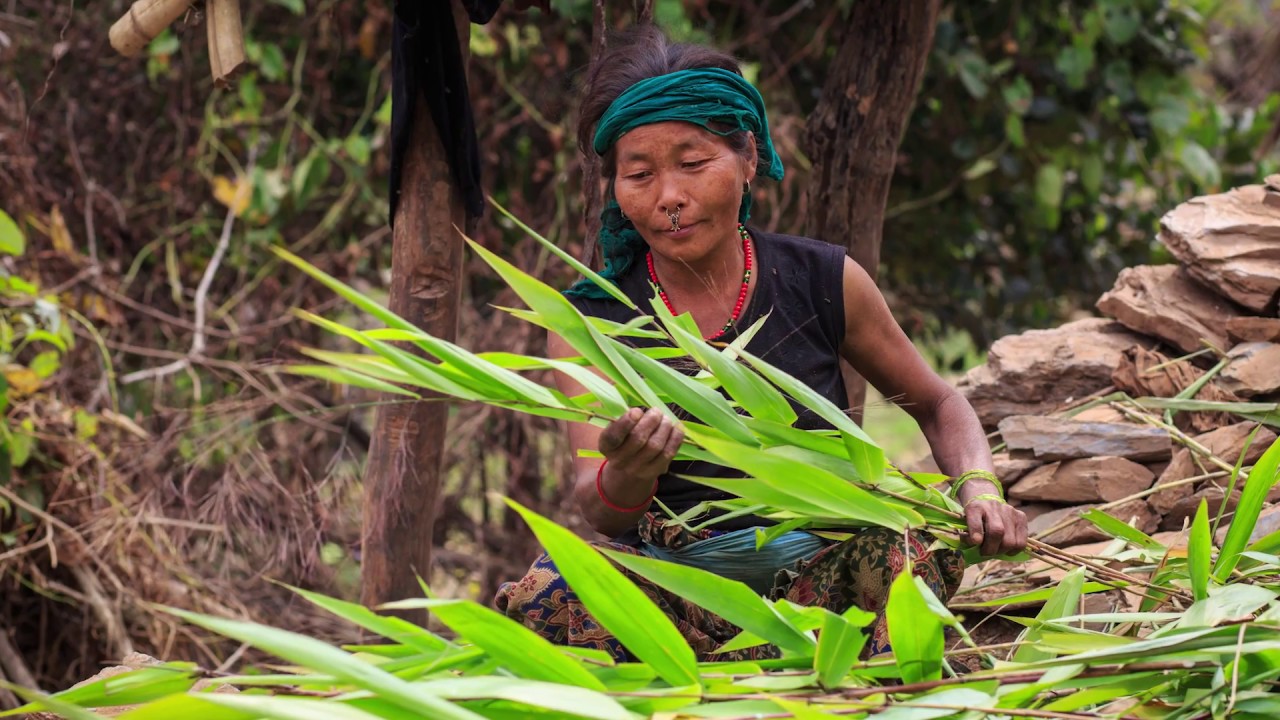 Women in Nepal lead the way in conserving forests - YouTube