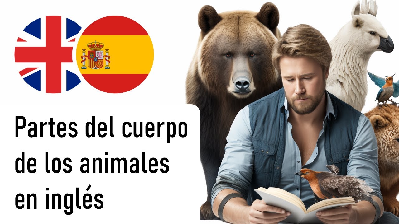 Partes del cuerpo de los animales en inglés (Voz masculina) - YouTube