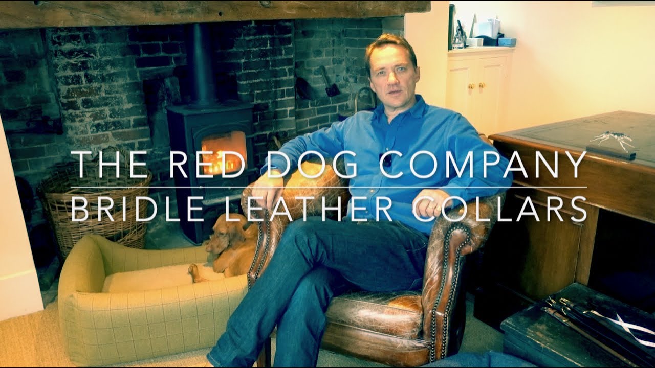 The Red Dog Company - Collars HD 1080p - YouTube