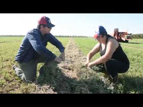 Crystal Sandoval - Fresno State Jordan College Day of Giving Student ...