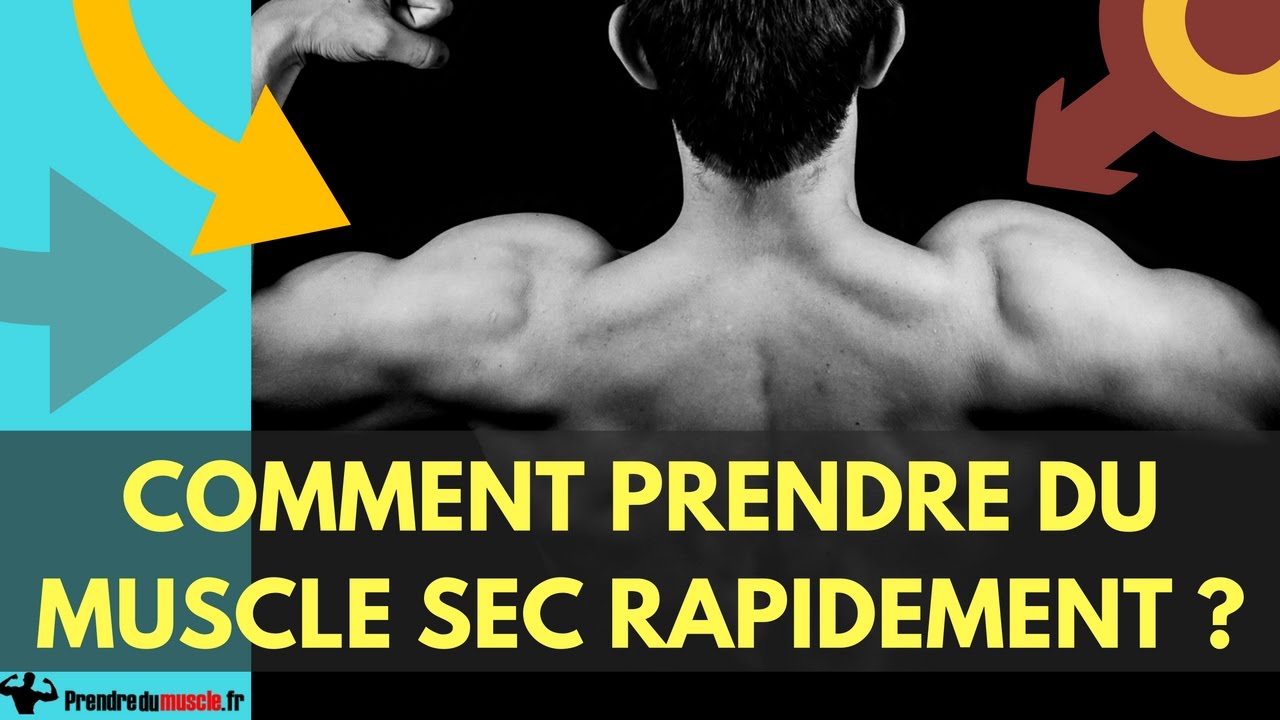 Comment prendre du muscle sec rapidement ? - YouTube