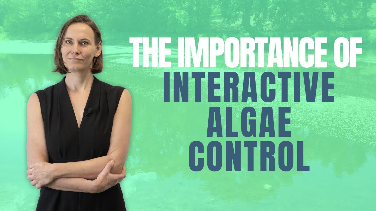 How Interactive Algae Control Technology Prevents Harmful Algal Blooms ...