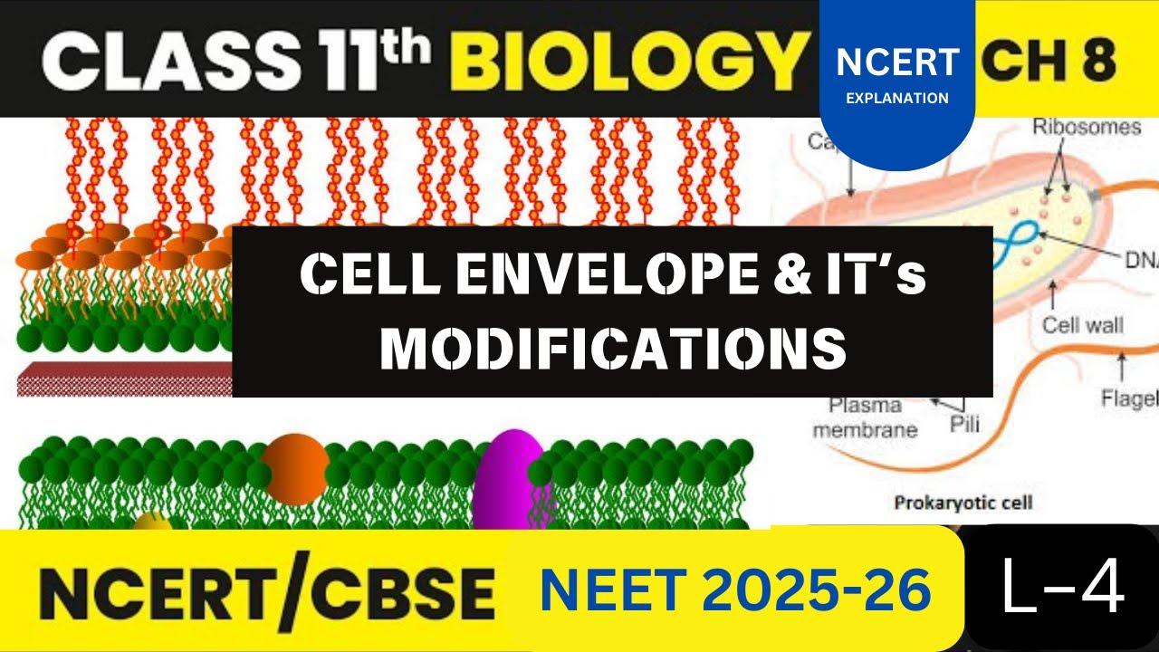 Cell Envelope and its Modifications #cell #ncert #neet #neet2025 ...