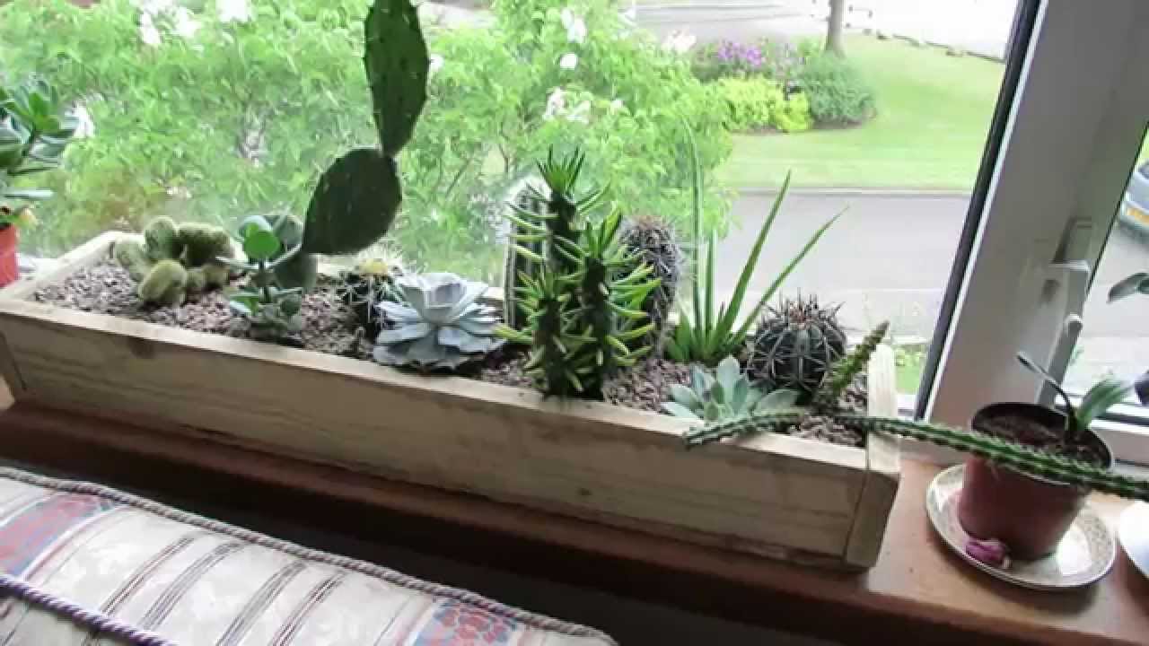 Almost finished cacti and succulent trough - YouTube
