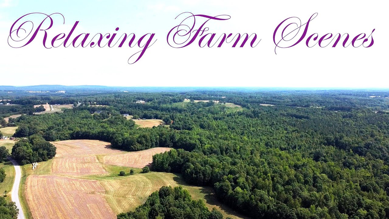 Relaxing Farm Scenes set to Classical music (time lapse and drone ...