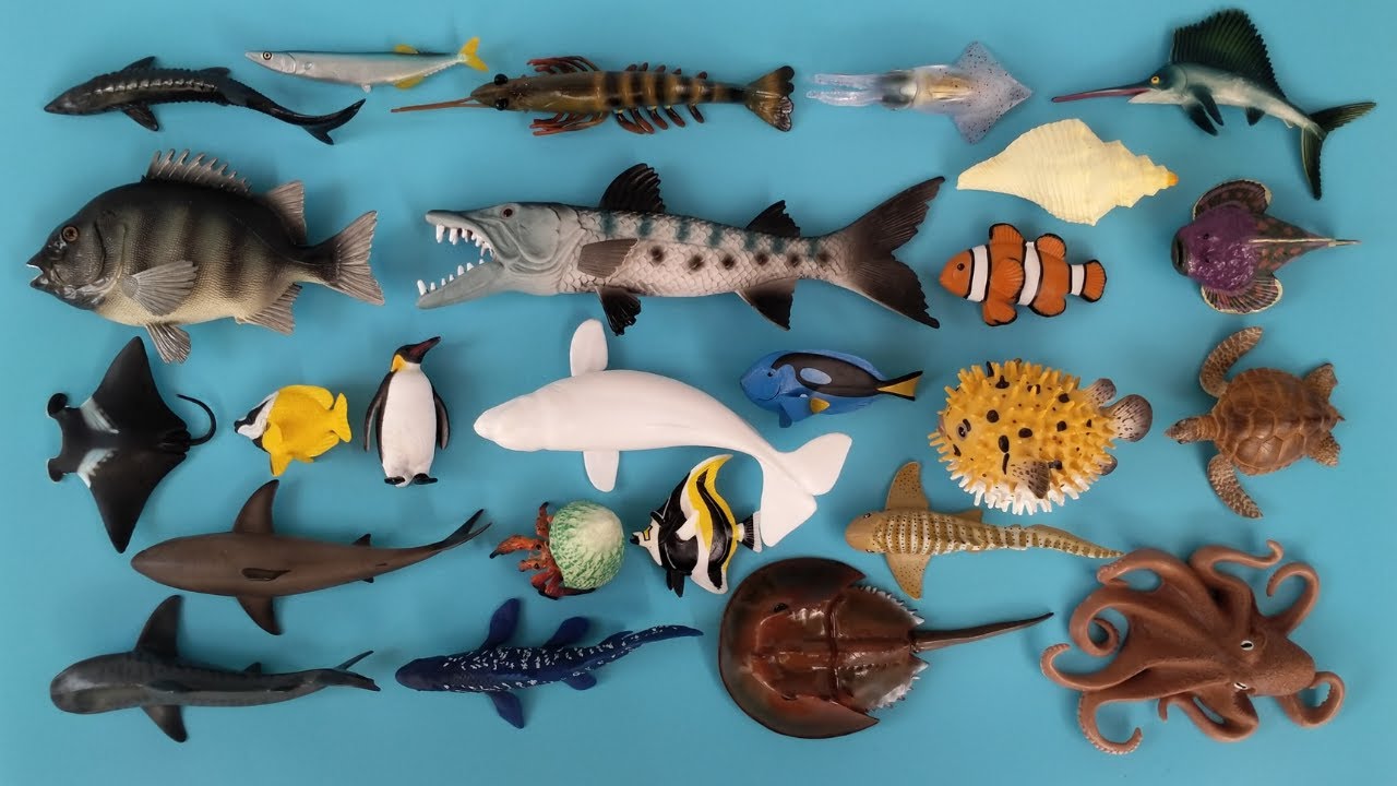 Hewan di Laut Ikan Hiu Barakuda Pacific Saury, Sturgeon, Udang Windu ...
