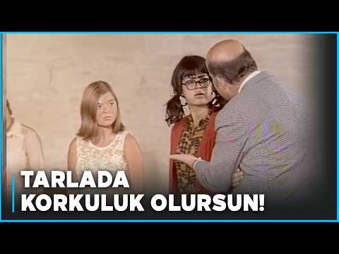 Tatlı Meleğim Türk Filmi | Leyla İş Arıyor