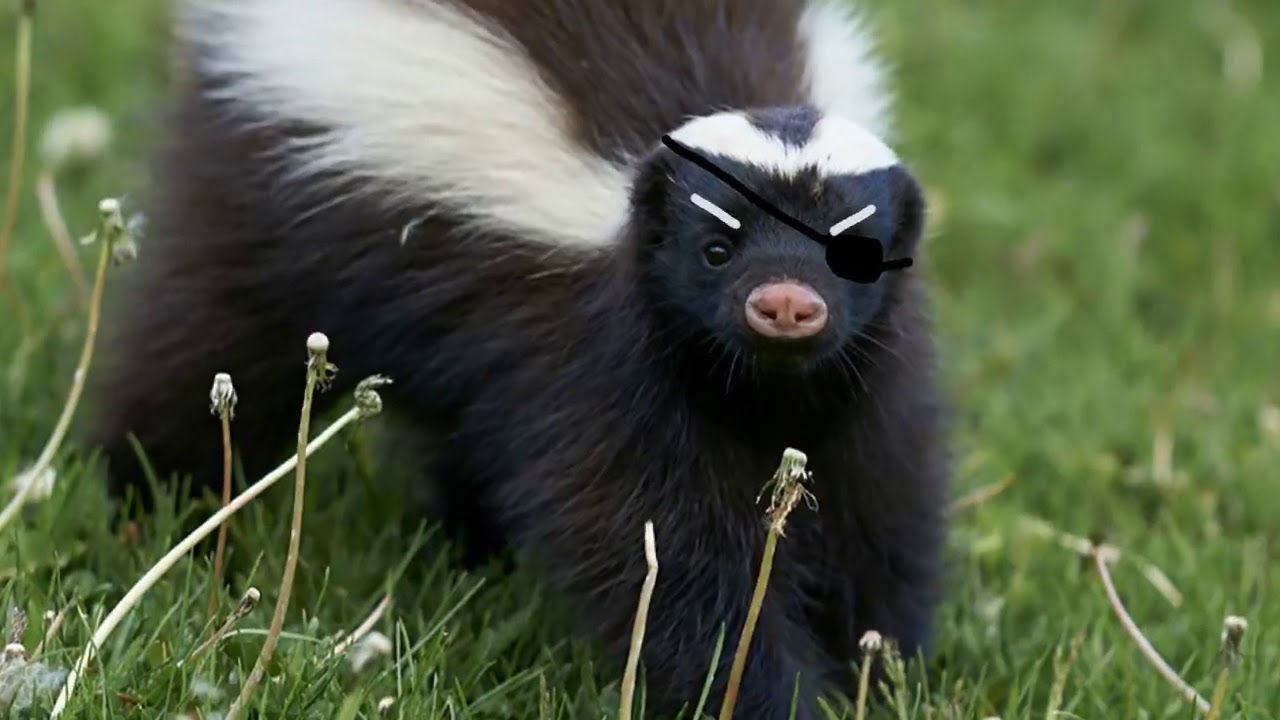 skunk second season 1 episode 12 - YouTube