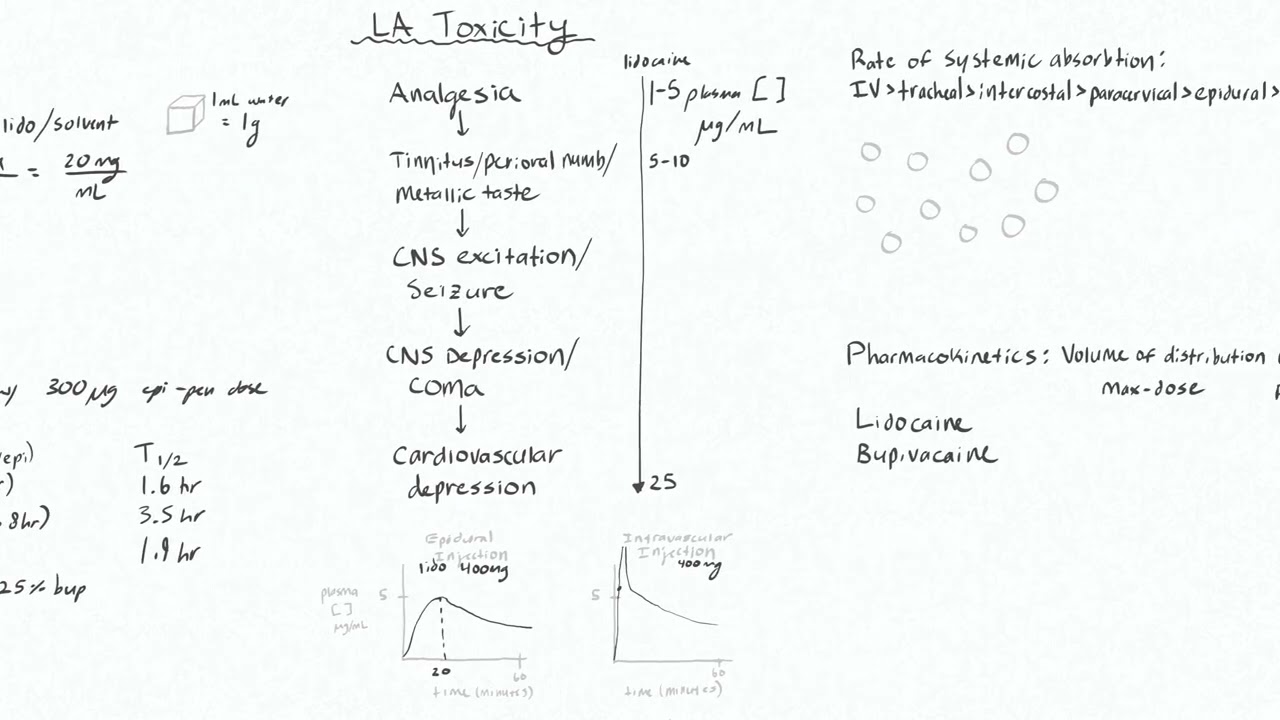 Local Anesthetics 5 - Systemic Absorption and Potential Toxicity - YouTube