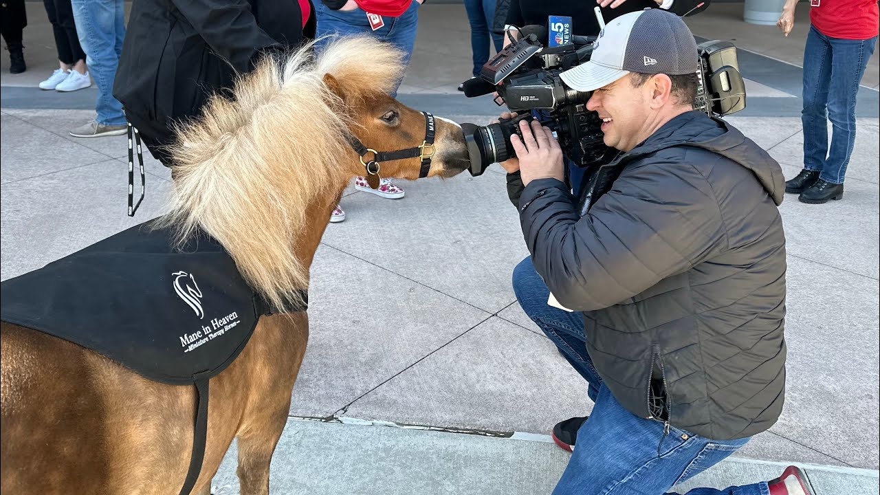 NBC Making a Difference: Mane in Heaven & Grainger - YouTube