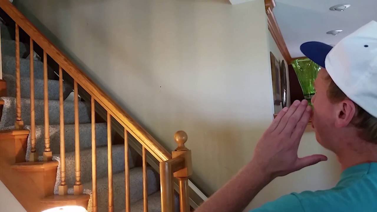 Curtis, Get Down Here! - YouTube