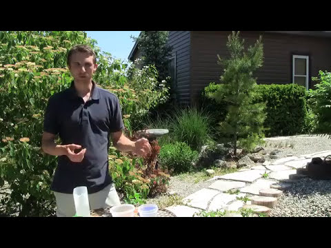 How To Make A Garden Inoculant For Less Than $1 - YouTube